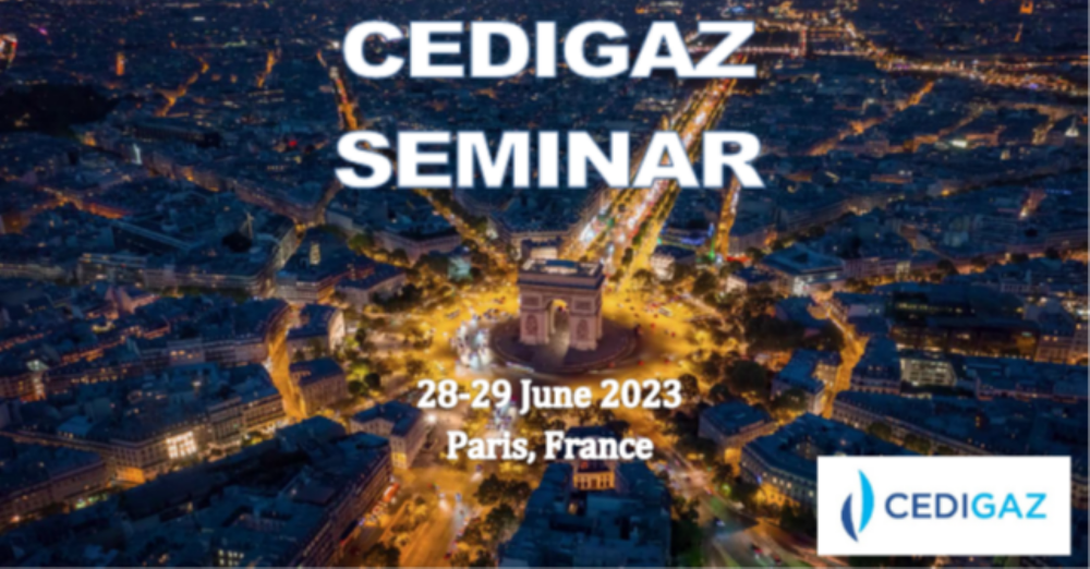 CEDIGAZ SEMINAR 2023 - Cedigaz