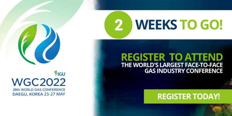 28th World Gas Conference (WGC 2022) - Cedigaz