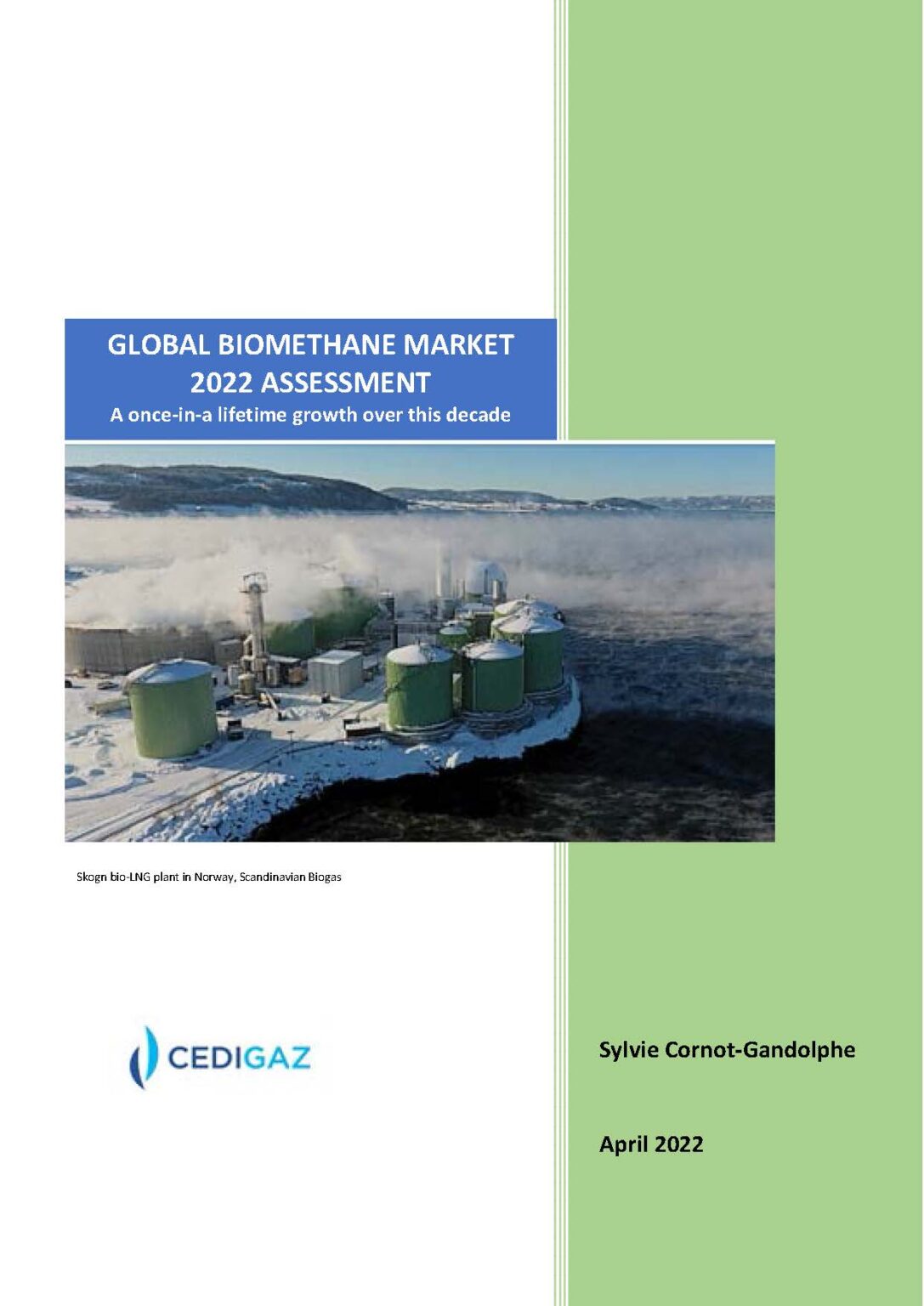 Cedigaz - Natural Gas Information - Natural Gas and Liquefied Natural Gas Databases
