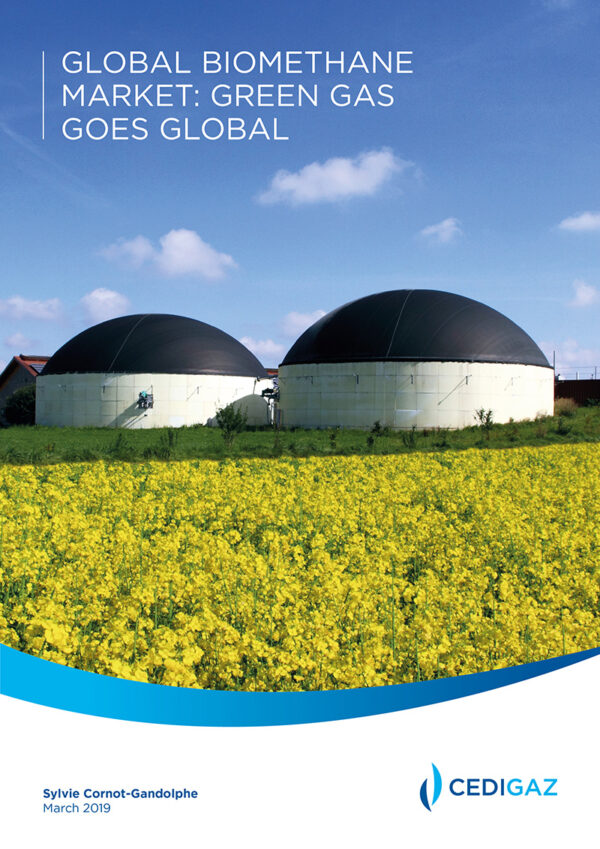 Cedigaz - Natural Gas Information - Natural Gas and Liquefied Natural Gas Databases